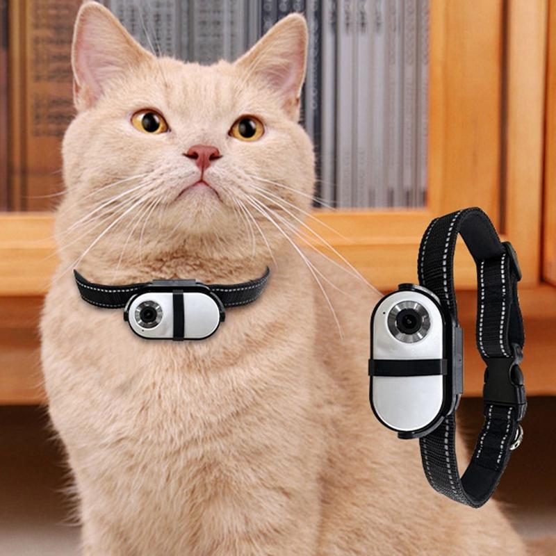 Lightweight HD 1080p Pet Camera Collar: Waterproof & Ideal for ...