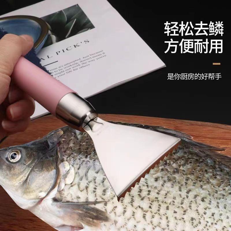 Alat Perancang Sisik Ikan, Bahan Keluli Tahan Karat, Alat Is - TikTok ...