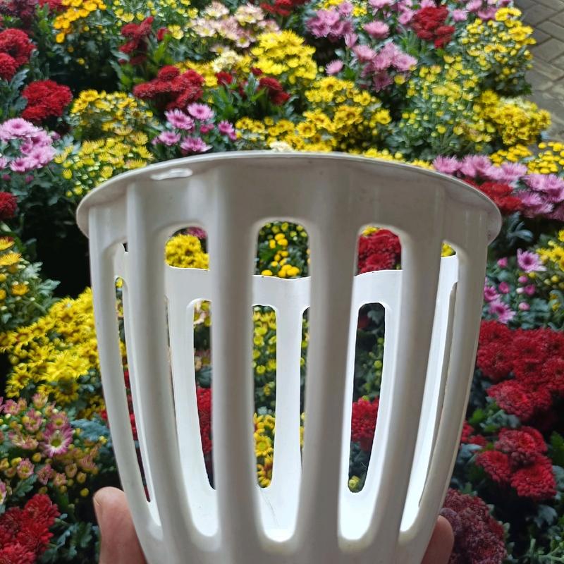 Pot Putih plastik 1Kg variasi warna dan harga - Shop | Tokopedia