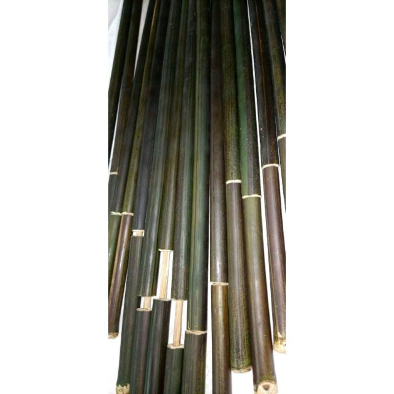 Mainan Tradisional Pletokan Tembakan Bambu - Shop | Tokopedia
