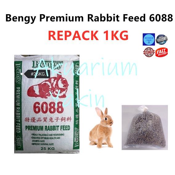4077 Bengy Premium Rabbit Feed 6088 REPACK 1KG - TikTok Shop Malaysia