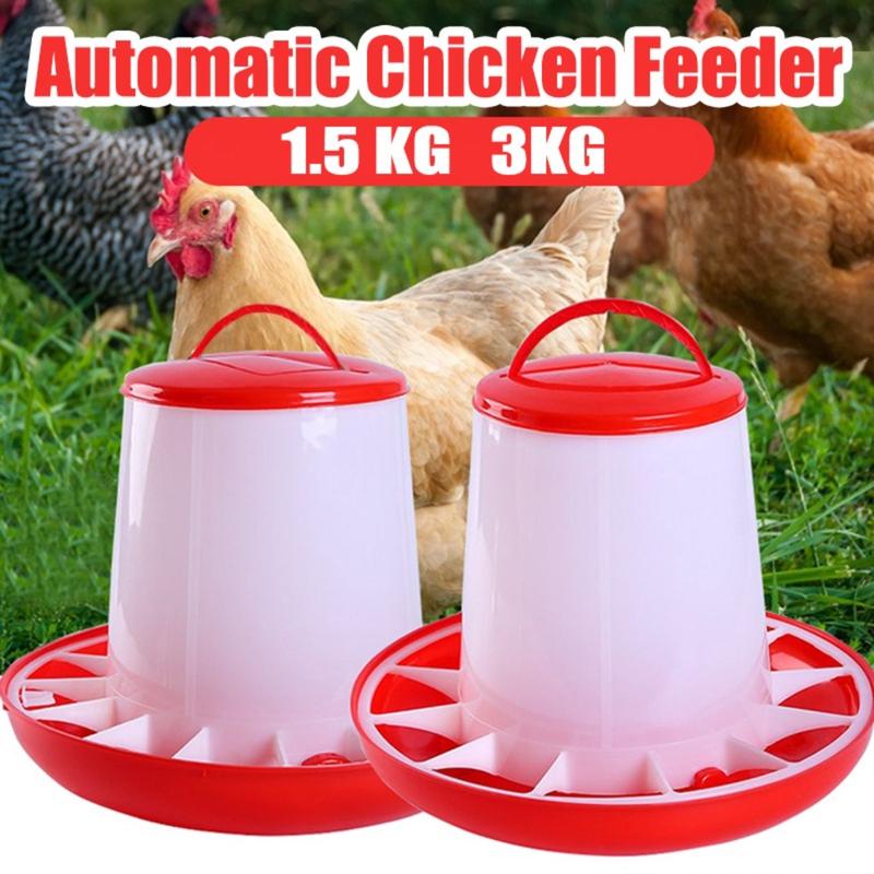 Poultry feeder poultry breeding food dispenser container tool - TikTok ...