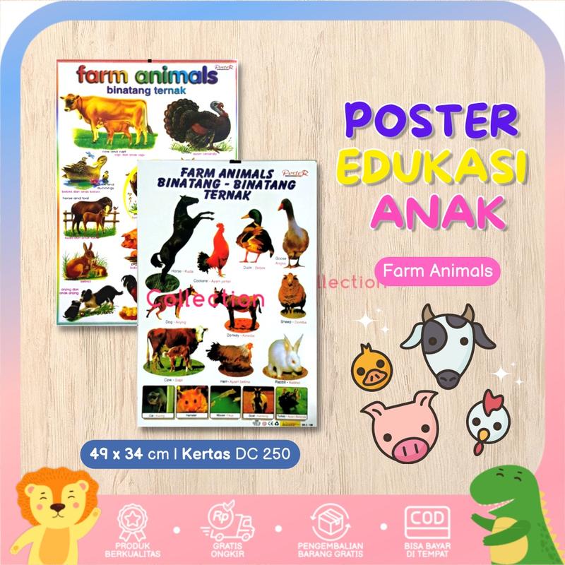 Poster Anak Belajar Aneka Binatang Farm Animal Hewan Ternak Karton ...