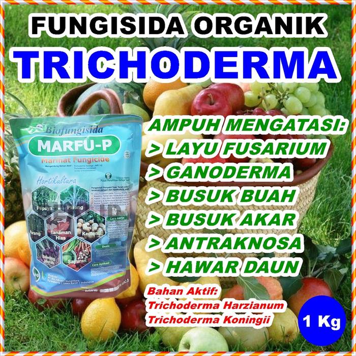 Jual Tricoderma Harzianum 1 Kg Bio Fungisida Hayati Pupuk Organik Marfu ...