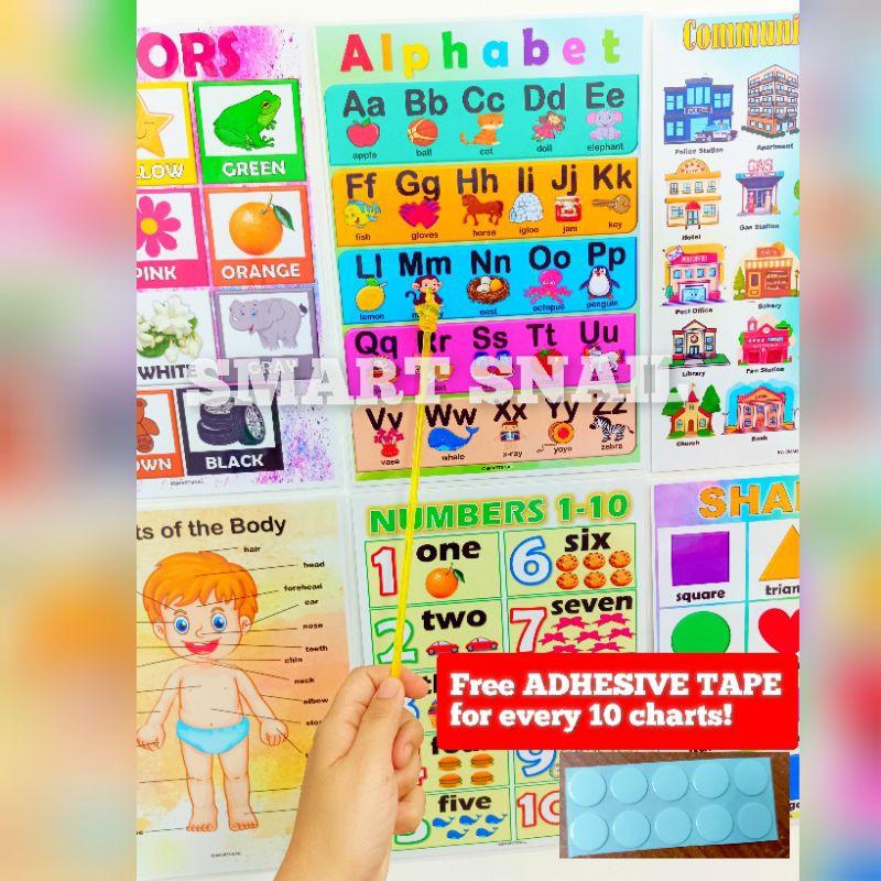 Laminated Educational Wall Charts for Kids - TikTok Shop Singapore