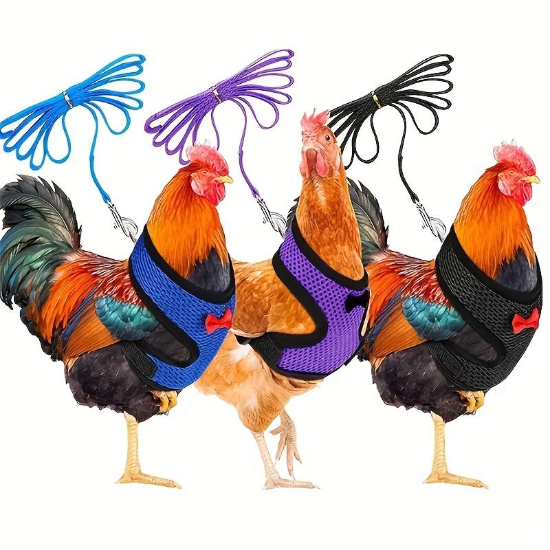 New Chicken Chest Harness Adjustable Chicken Leash Comfortable - TikTok ...