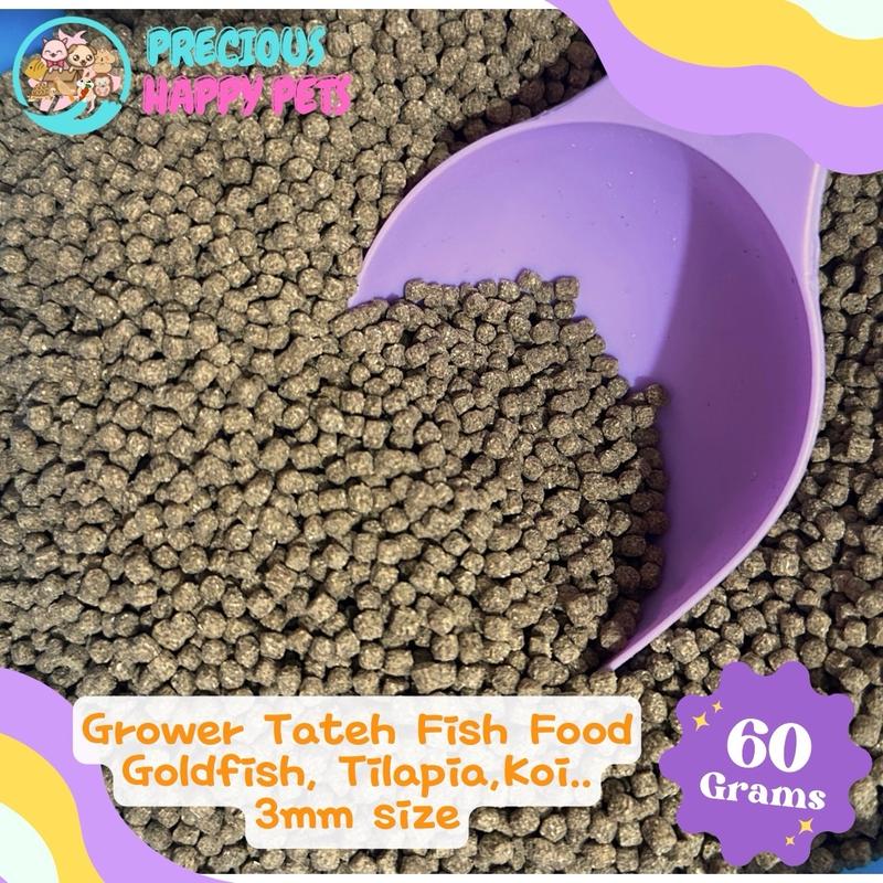 Grower Tateh Fish Food 3mm-60grams (for Koi Tilapia Goldfish - TikTok ...