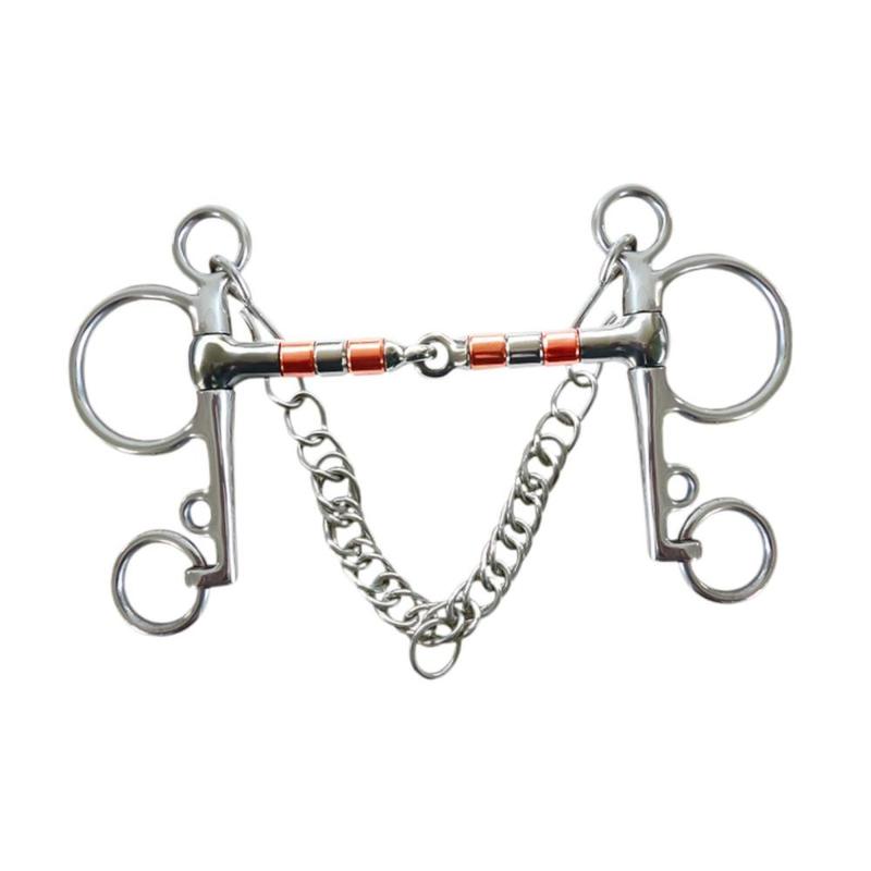 Horse Bit with Curb Chain Horse Training Equipment Horse Mouth - TikTok ...