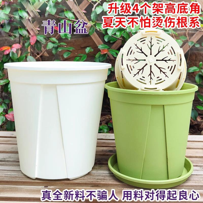 Pasu Bunga, Putih dan Hijau, Kawalan Akar, Bernafas, Sesuai untuk ...