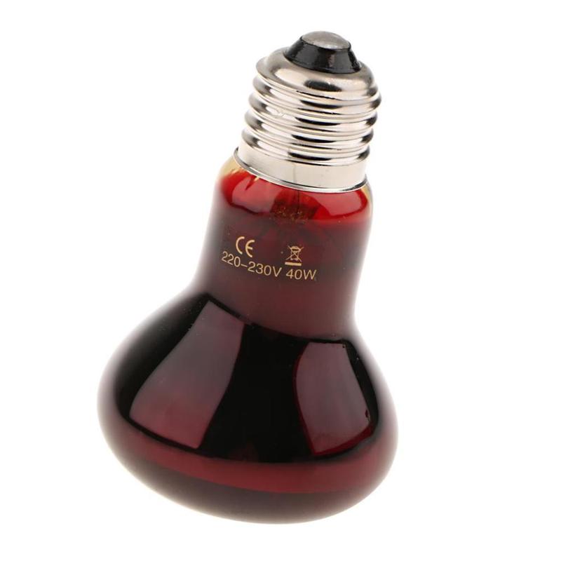 Reptile Infra Red Heat Bulb Lamp Basking Night Light E27 Base - TikTok ...