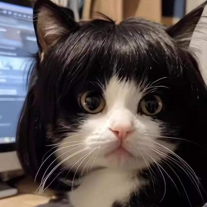 Pet Cat Wig Bobbed Head With Bangs Headgear Dog Hair Accessories ...