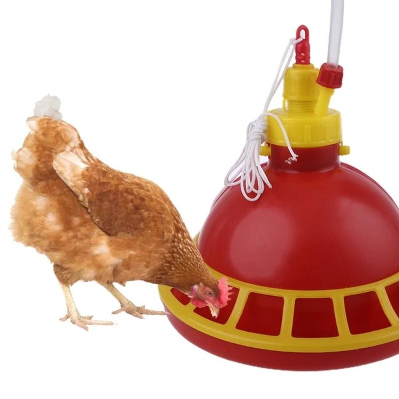 Poultry Feeding Equipment Bell Type Poultry Water Dispenser Automatic ...