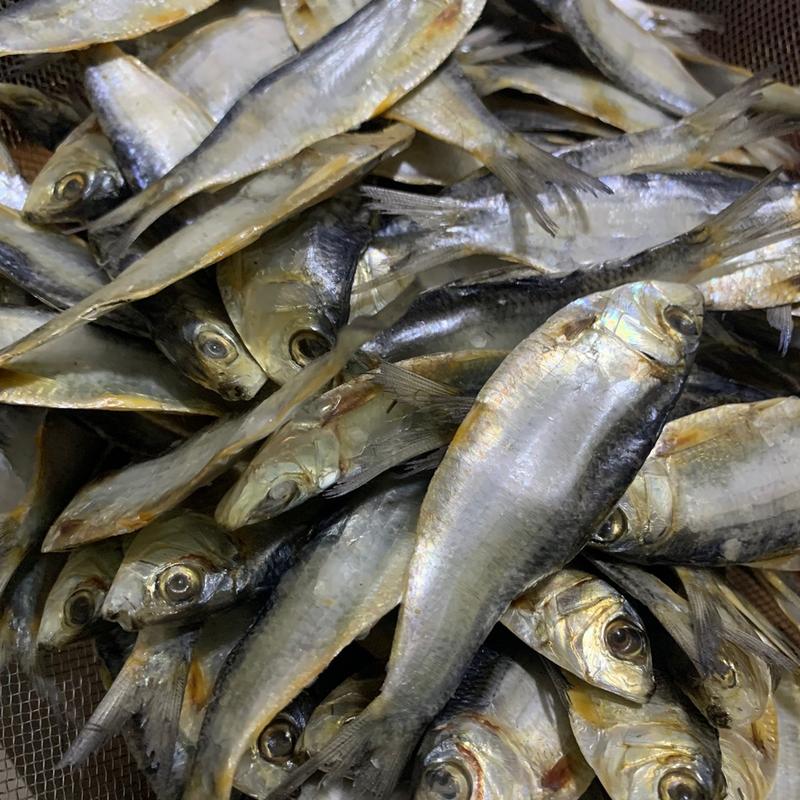 Salinyasi Dried fish from Bicol 100grams Dry - TikTok Shop Philippines