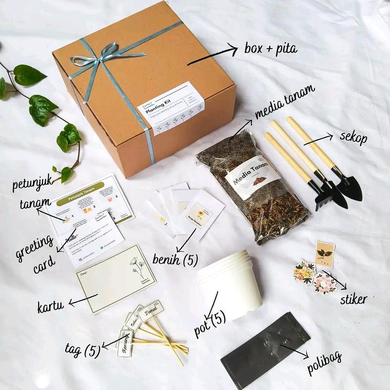 Big Planting Kit/ Grow Kit | Hampers | Souvenir | Gift Set | - Shop ...
