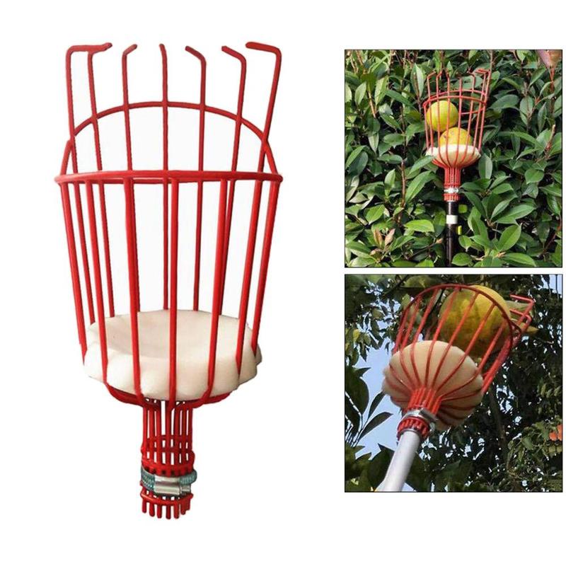 Fruit Picker, Fruit Picker Tool, Fruit Picking Equipment for - TikTok ...