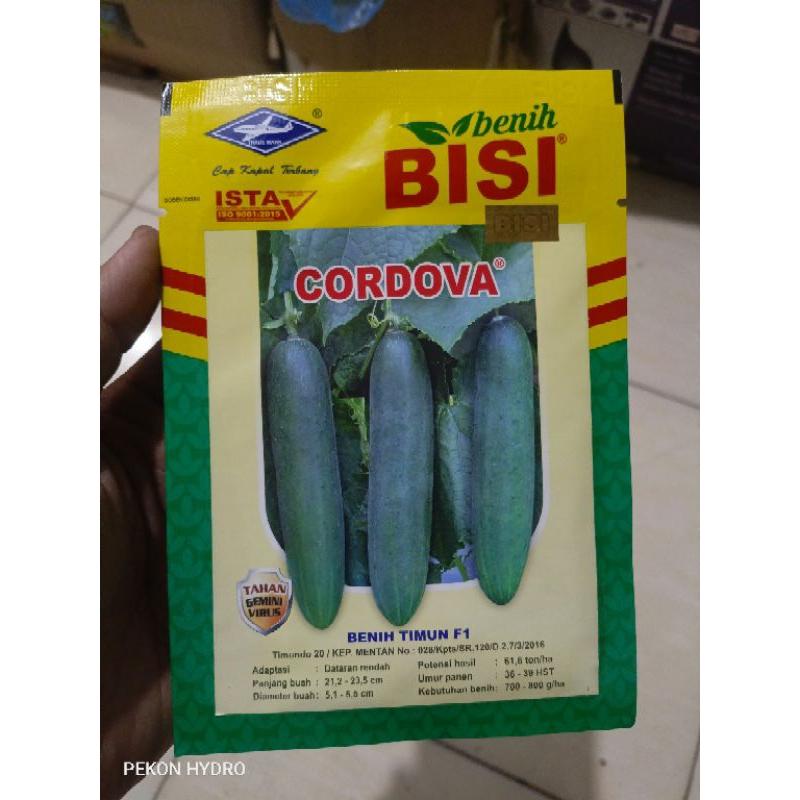 BENIH TIMUN CORDOVA F1 10 GRAM BISI CAP KAPAL TERBANG - Shop | Tokopedia