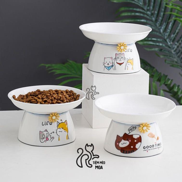 Chén sứ đế cao chống gù lưng cho mèo - Tiệm Mèo Moa - TikTok Shop Vietnam