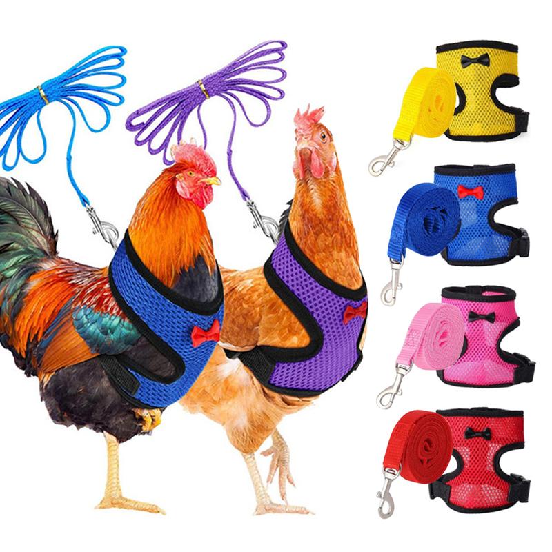 Breathable Mesh Chicken Duck Vest Leashes Poultry Hen Pet Harness ...