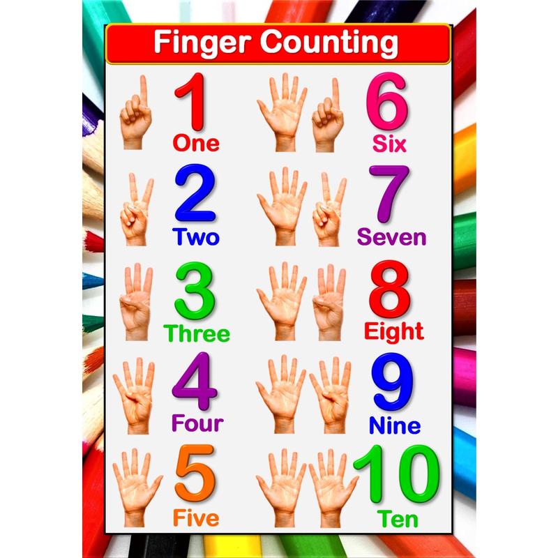 Numbers Wall Chart Educational poster Learning chart laminated - TikTok ...