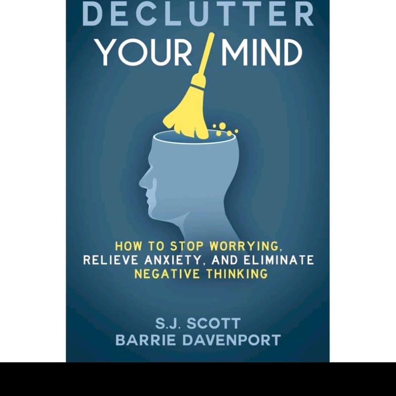 Declutter your mind by SJ Scott & Barrie Davenport Soft Cover - TikTok ...