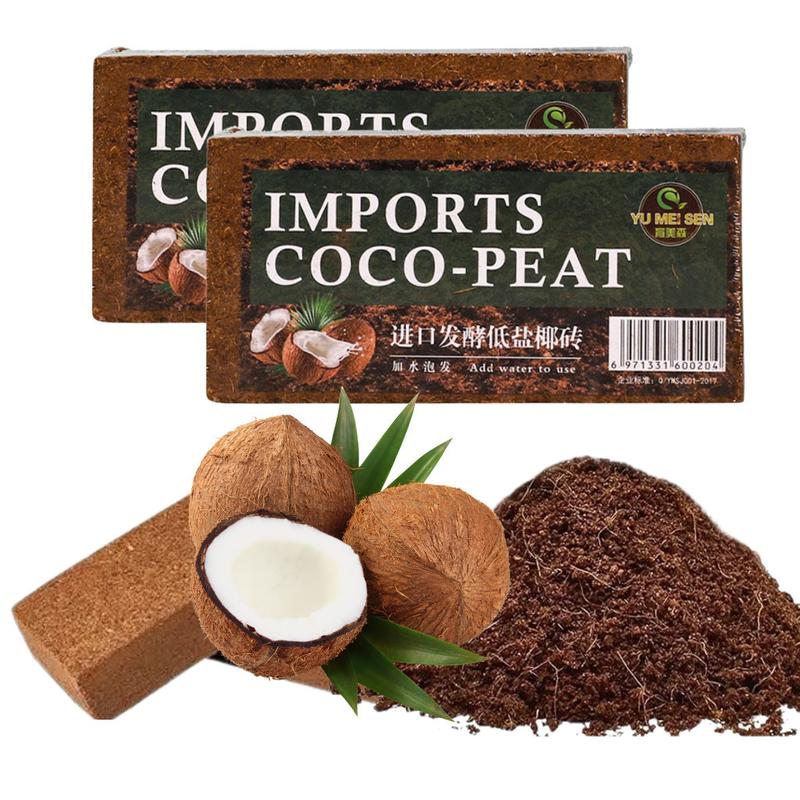 (FOREVER $2) Compressed Coco Peat Block Brick Plant Soil Vegetable ...